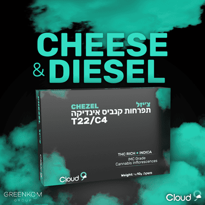 צ׳יזל | Chezel - אינדיקה T22/C4 - קלאוד-9